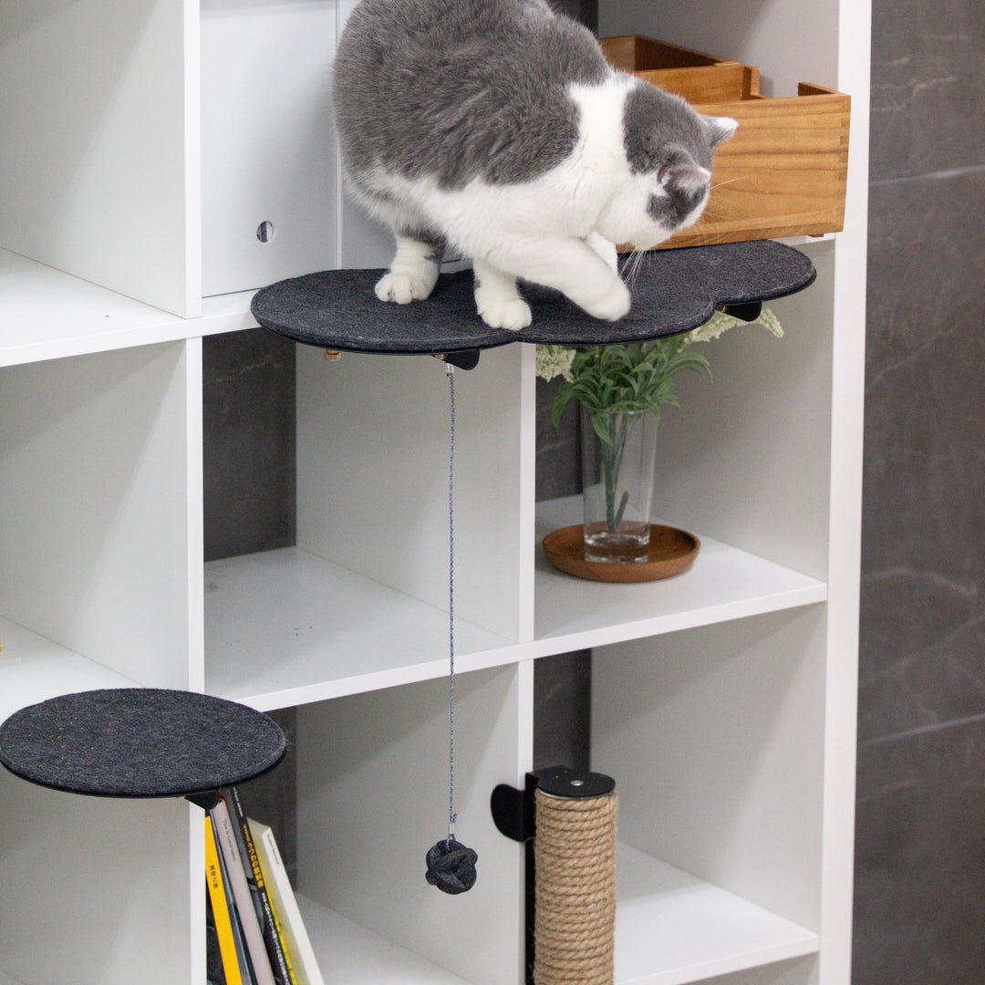 Catssup Floating Playground – Store LEVT