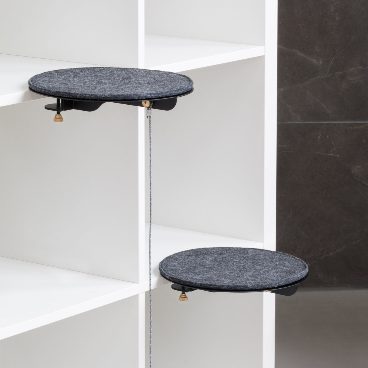 Catssup Collection – Store LEVT