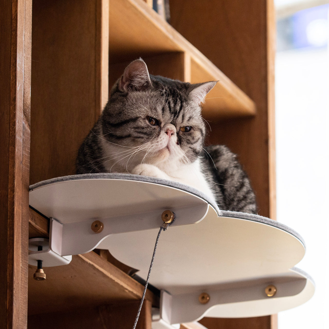 Catssup Cloud Lounge – Store LEVT