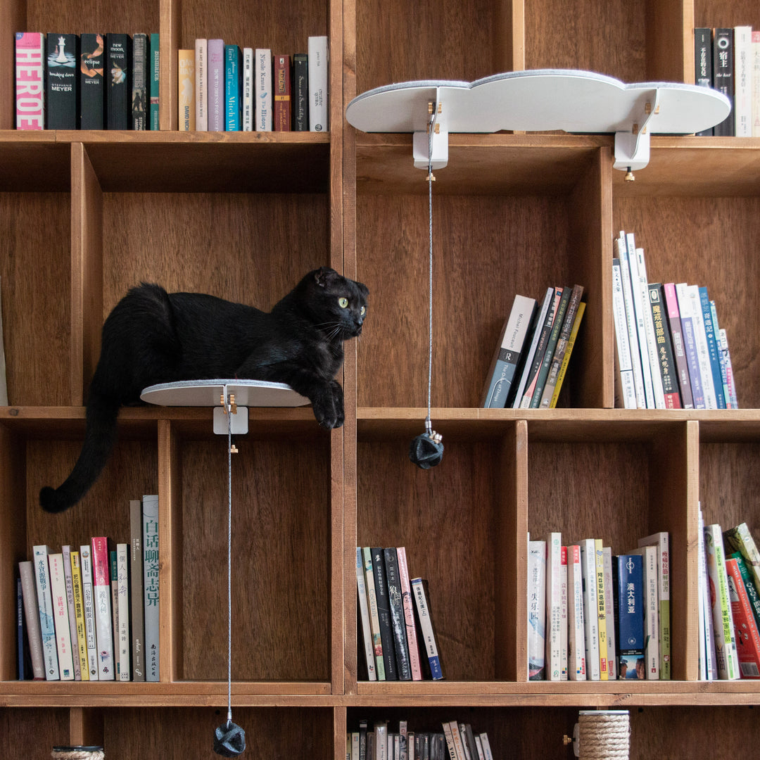 Catssup Cloud Lounge – Store LEVT